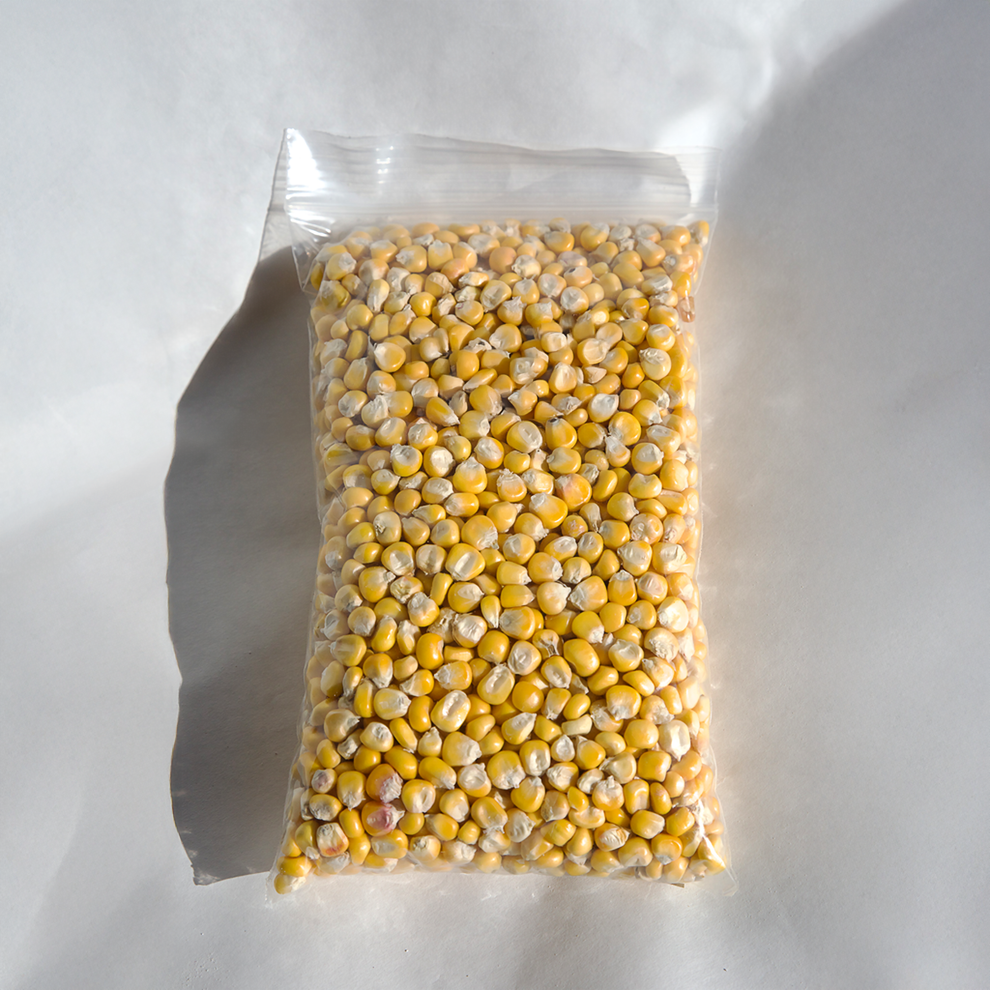 Navajo Yellow Seed Corn – Valley Trading Post